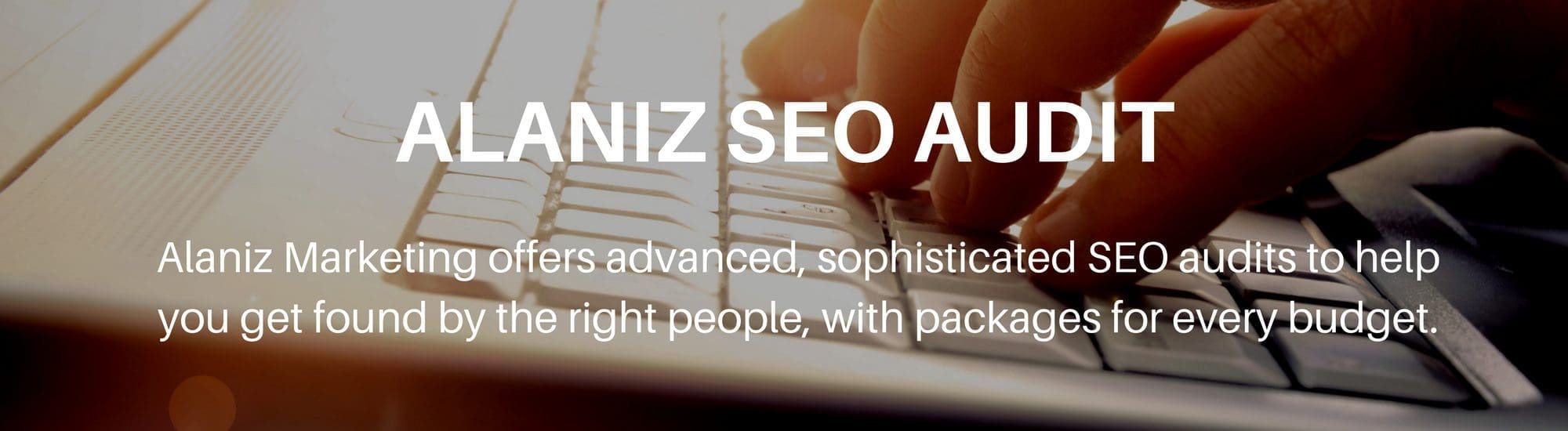 Guide to Search Engine Optimization | Alaniz